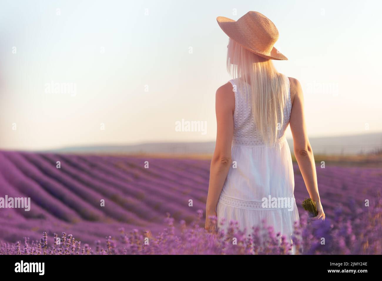 Back view of female in dress and hat standing in lavender field Stock ...