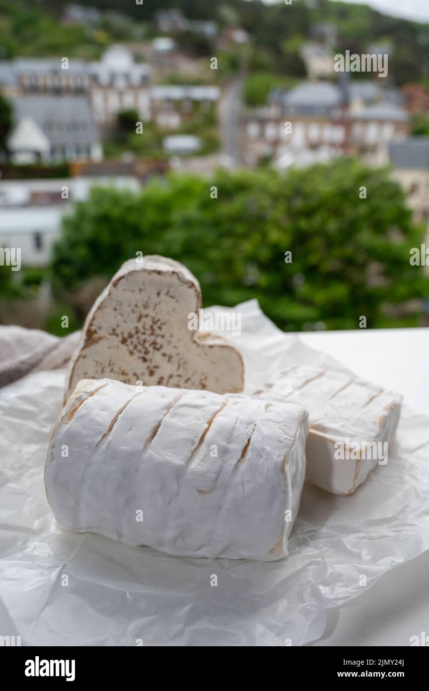 French cheeses heartshaped, squared and cylindrical neufchatel cow ...