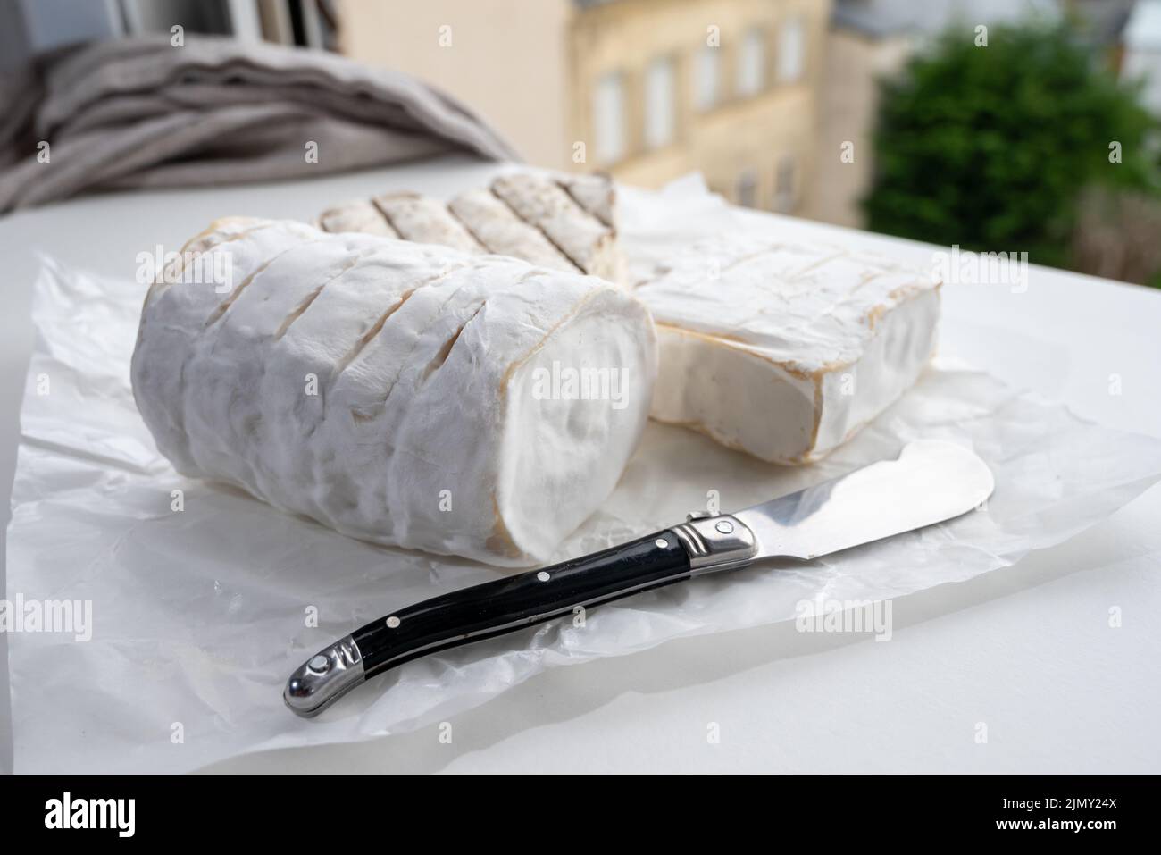 French cheeses heartshaped, squared and cylindrical neufchatel cow ...
