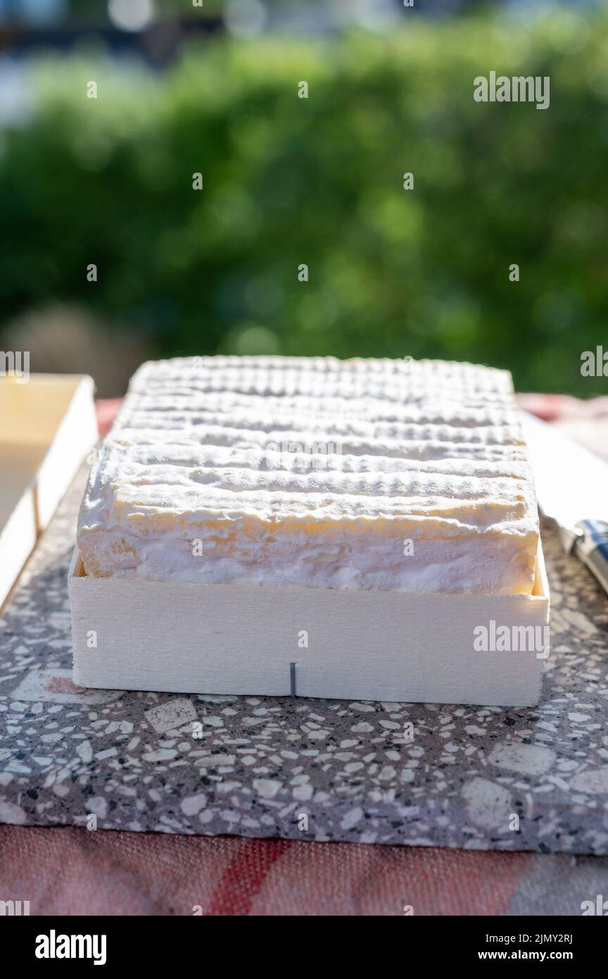 French squared pont l'eveque cow cheese from Calvados department, close ...