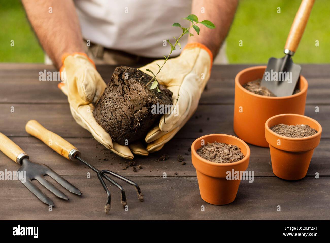 Vibrant planting hi-res stock photography and images - Alamy