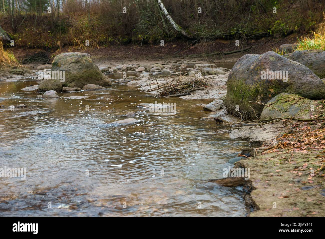 Small parched forest river in an autumn evening Stock Photo - Alamy