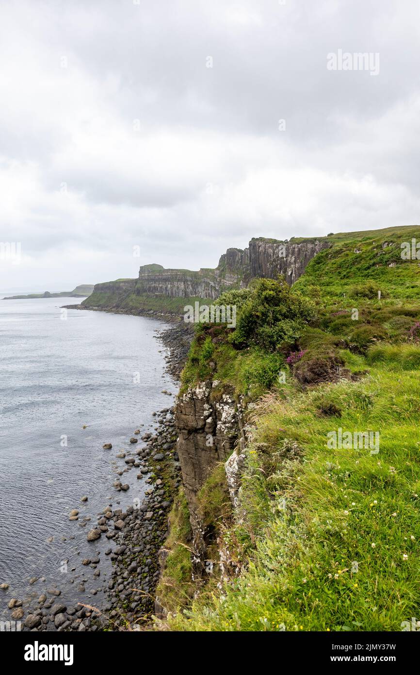 Isle of Skye, sea cliffs near Kilt rock on the trotternish peninsula ...