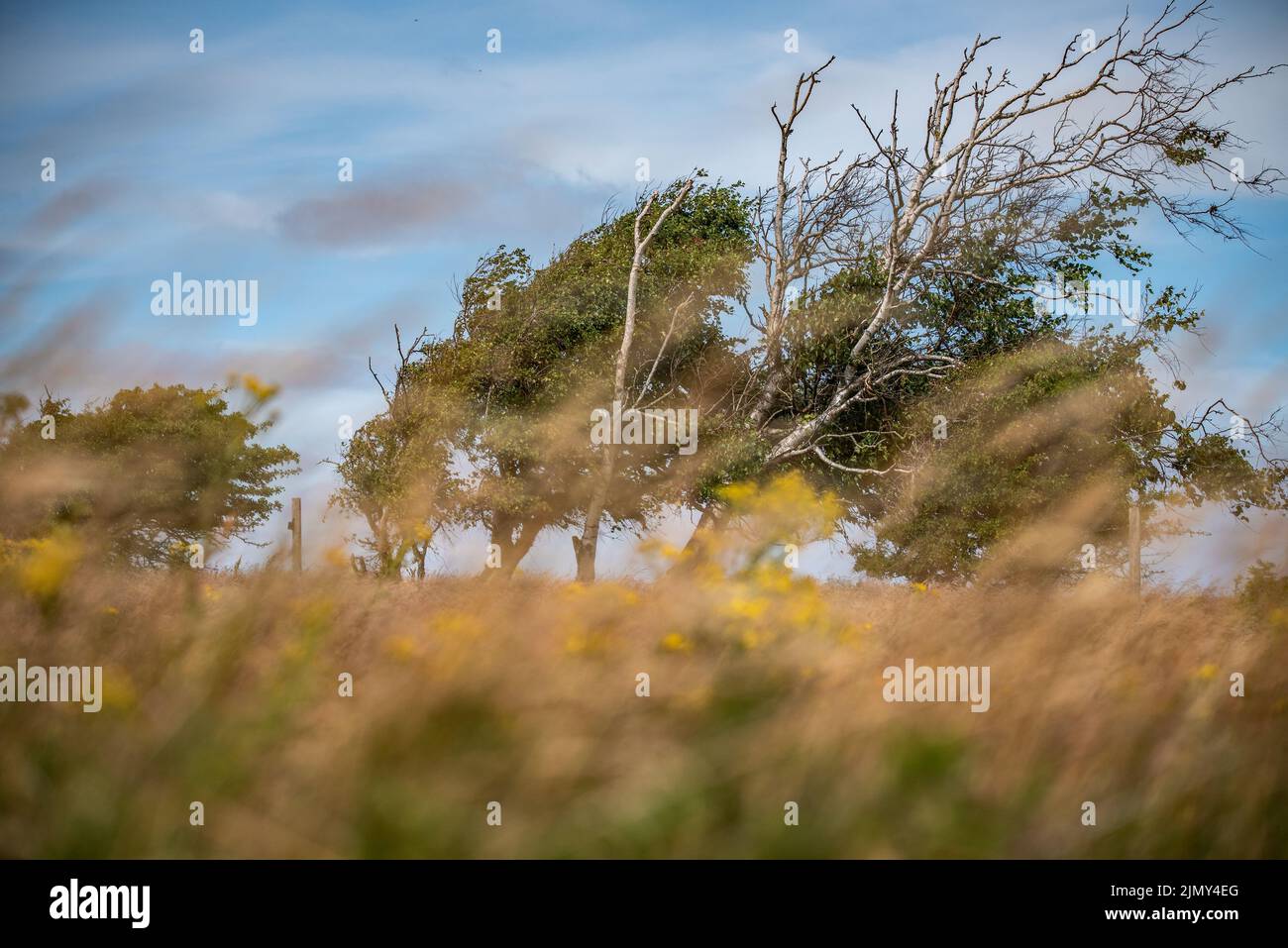 Wind shear hi-res stock photography and images - Alamy