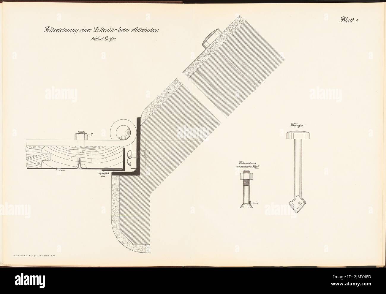 8 zellen hi-res stock photography and images - Alamy