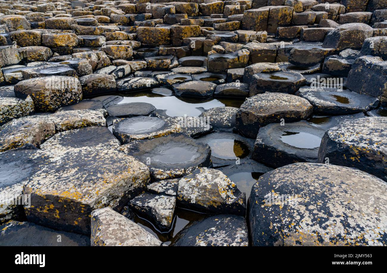 A close-up detail view of the volcanic hexagon basalt rock columns of ...