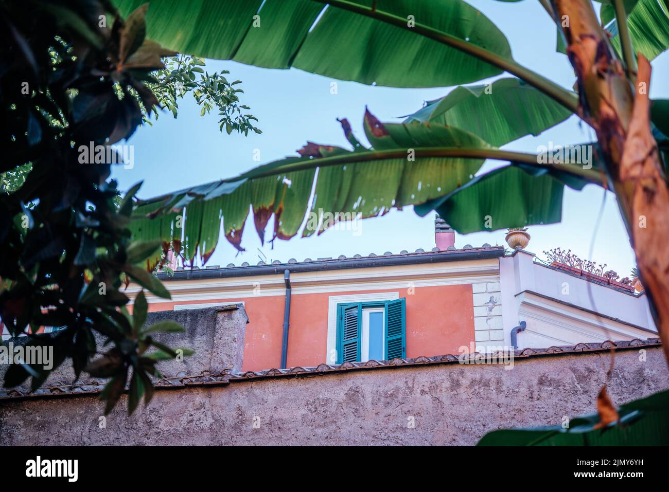 A shuttered window in the shade of big banana leaves in Rome Italy ...