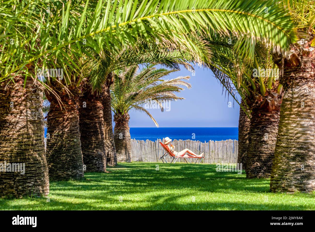 Woman Lying On Lounger In Exotic Tropical Resort Under Palm Trees And