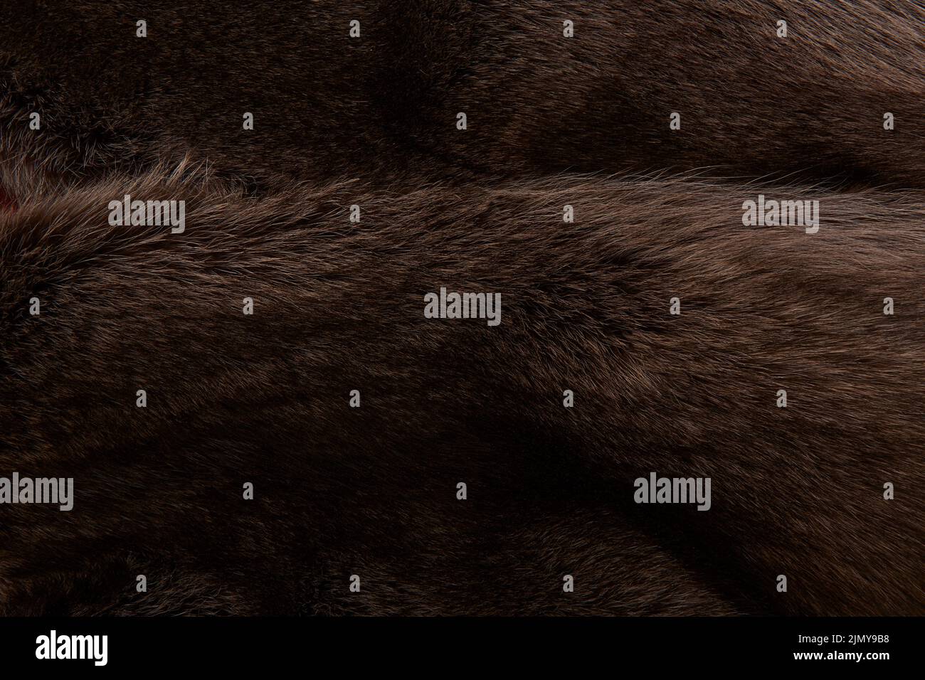 Dark brown fur hi-res stock photography and images - Alamy