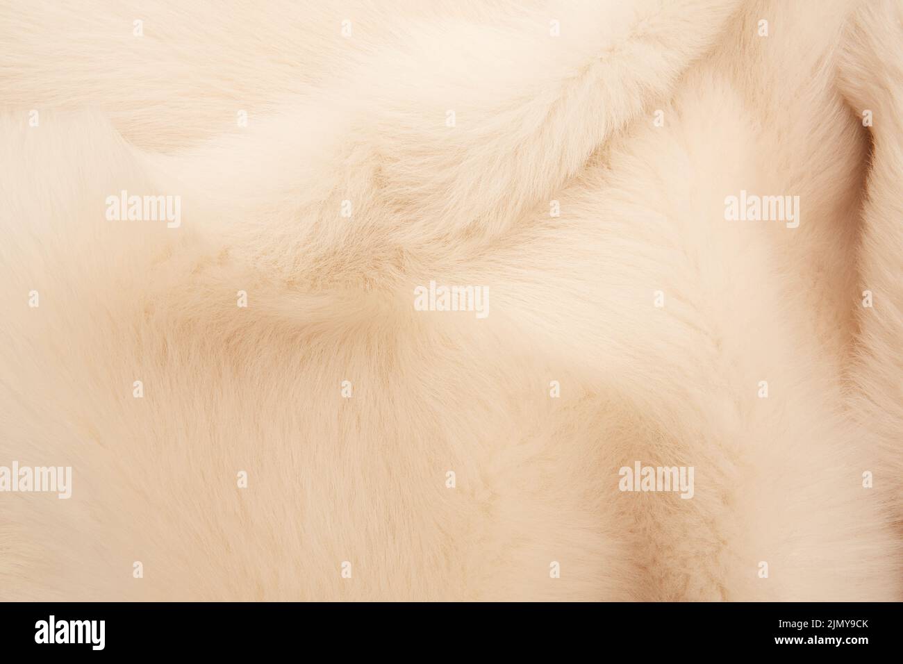 Soft fur hi-res stock photography and images - Alamy