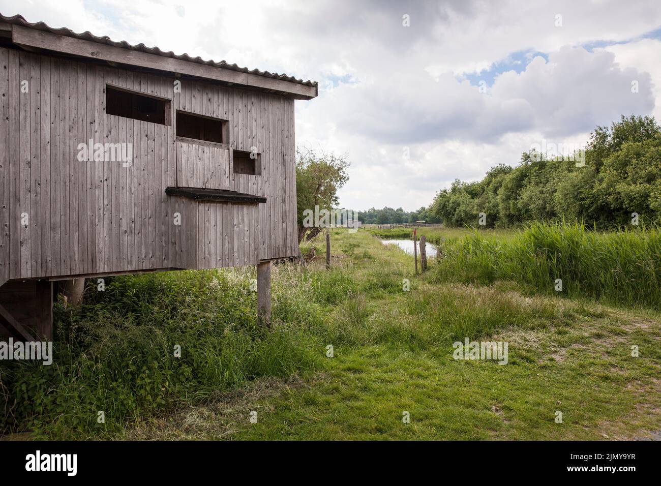 nature reserve Rieselfelder near Muenster, observation hut, European ...