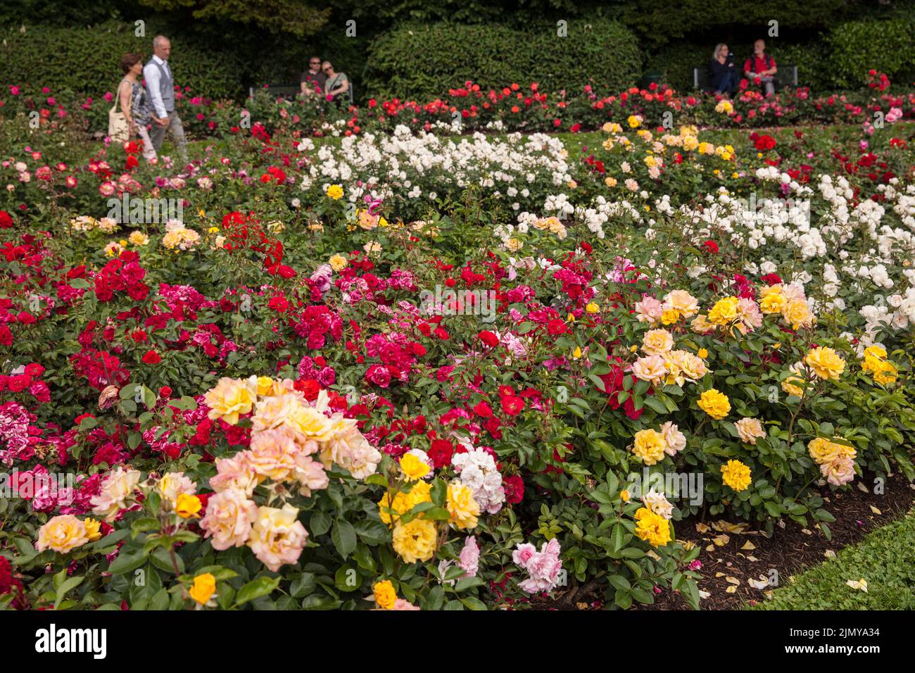 the rose garden at Fort X, a part of the former inner fortress ring ...