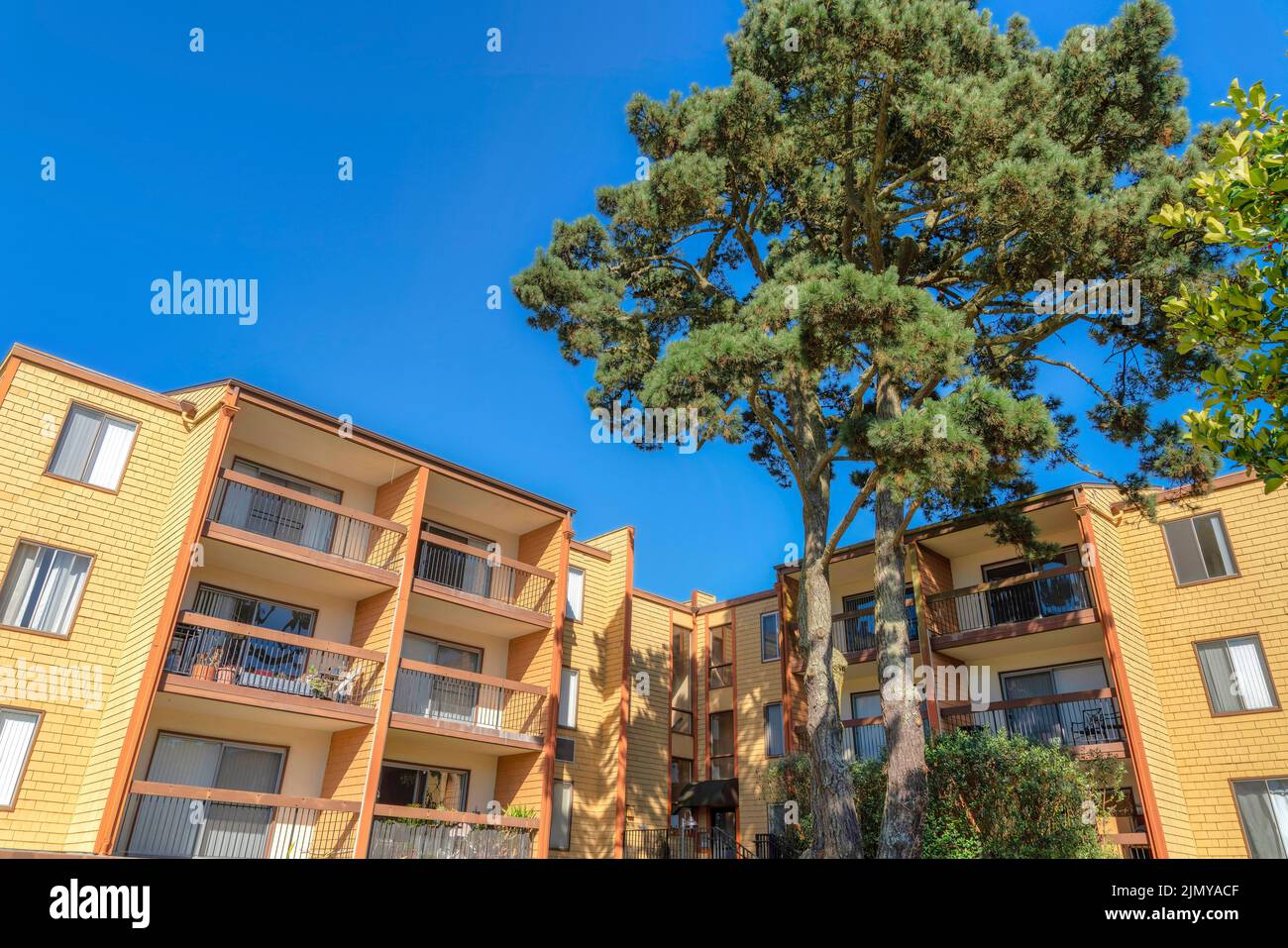Complex apartment building with balconies and large trees at the front ...