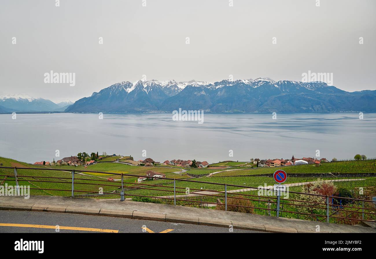The landscape of vineyard terrace in region of Lavaux in Switzerland ...