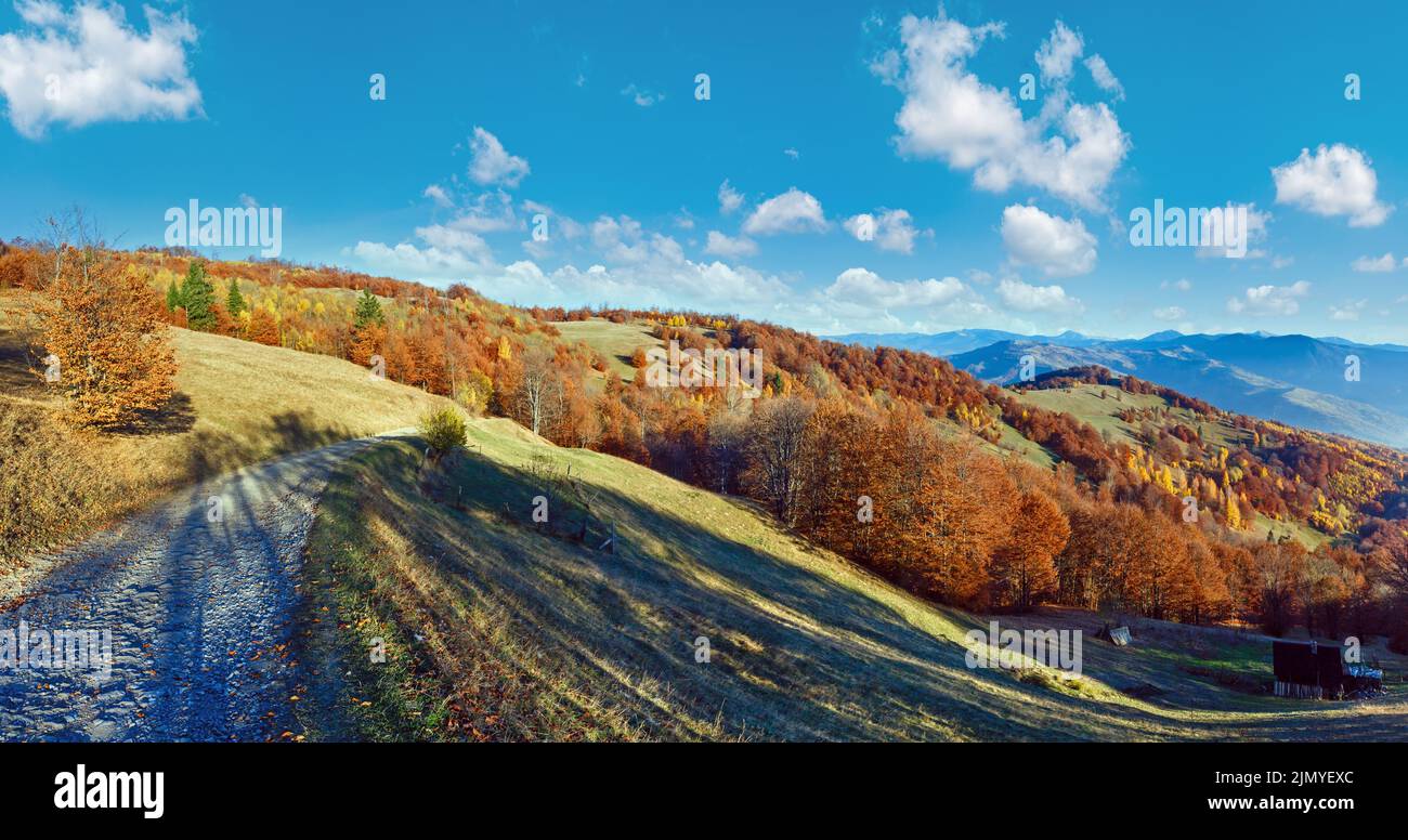 Trees on the slope hi-res stock photography and images - Alamy