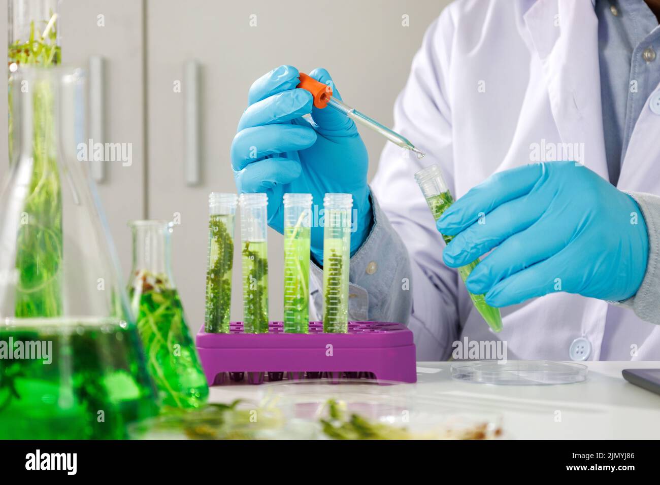 research scientist team working research and Biotech science ...