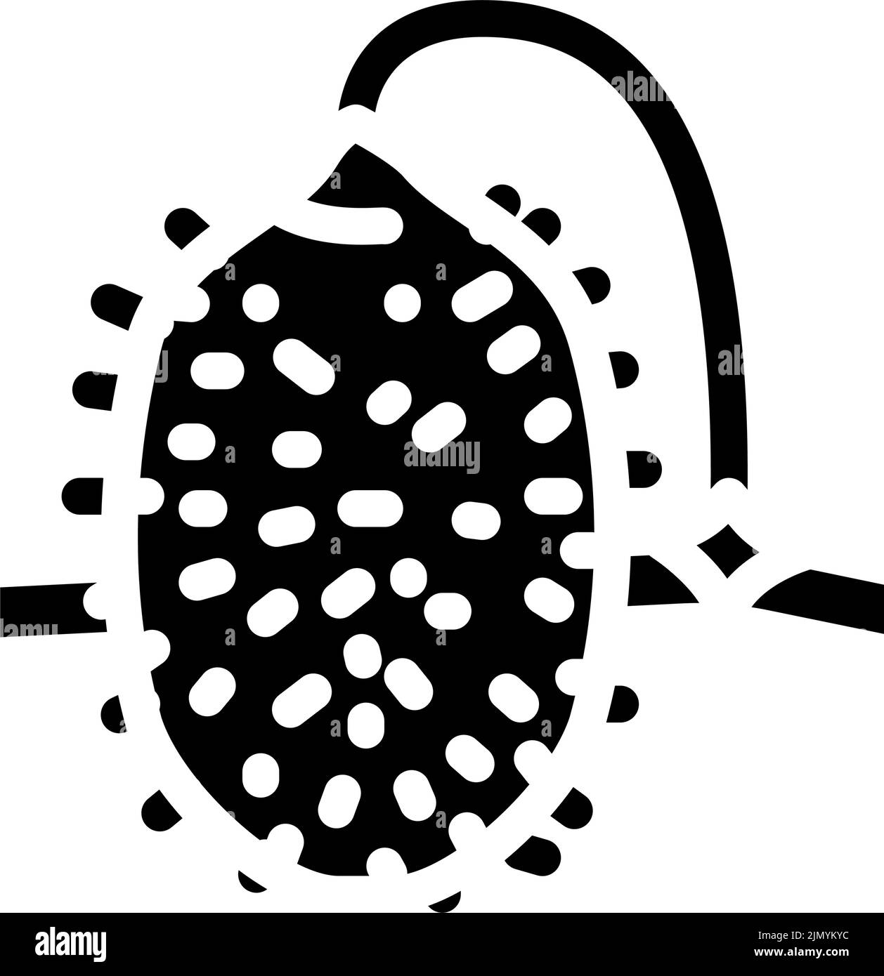 cucumber anguria glyph icon vector illustration Stock Vector Image ...