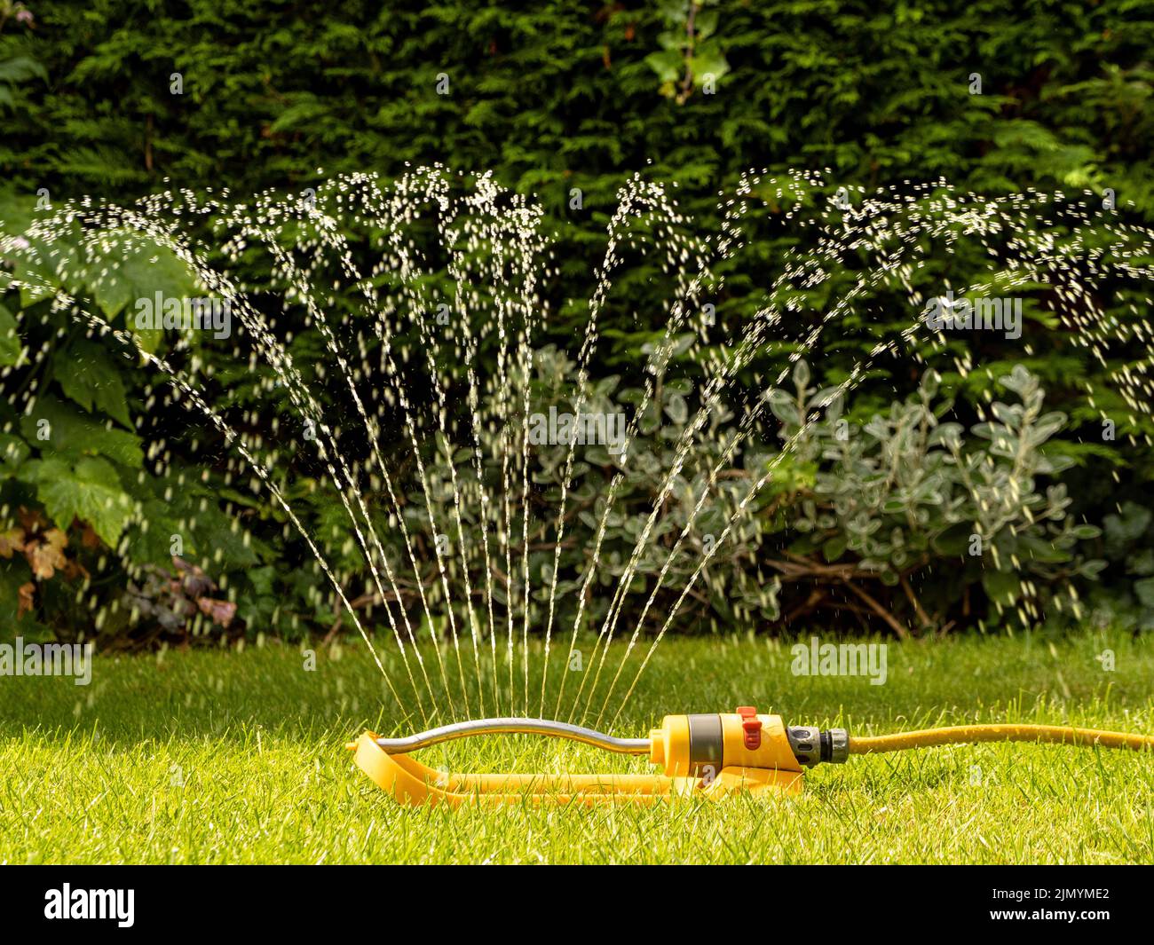 Hosepipe lawn summer hi-res stock photography and images - Alamy
