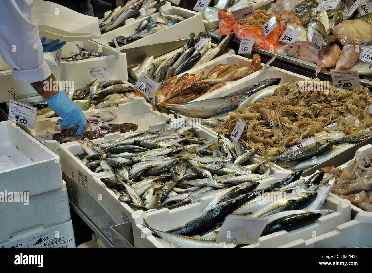 Fish shop display, Bologna, Emilia Romagna, Italy, Europe Stock Photo ...