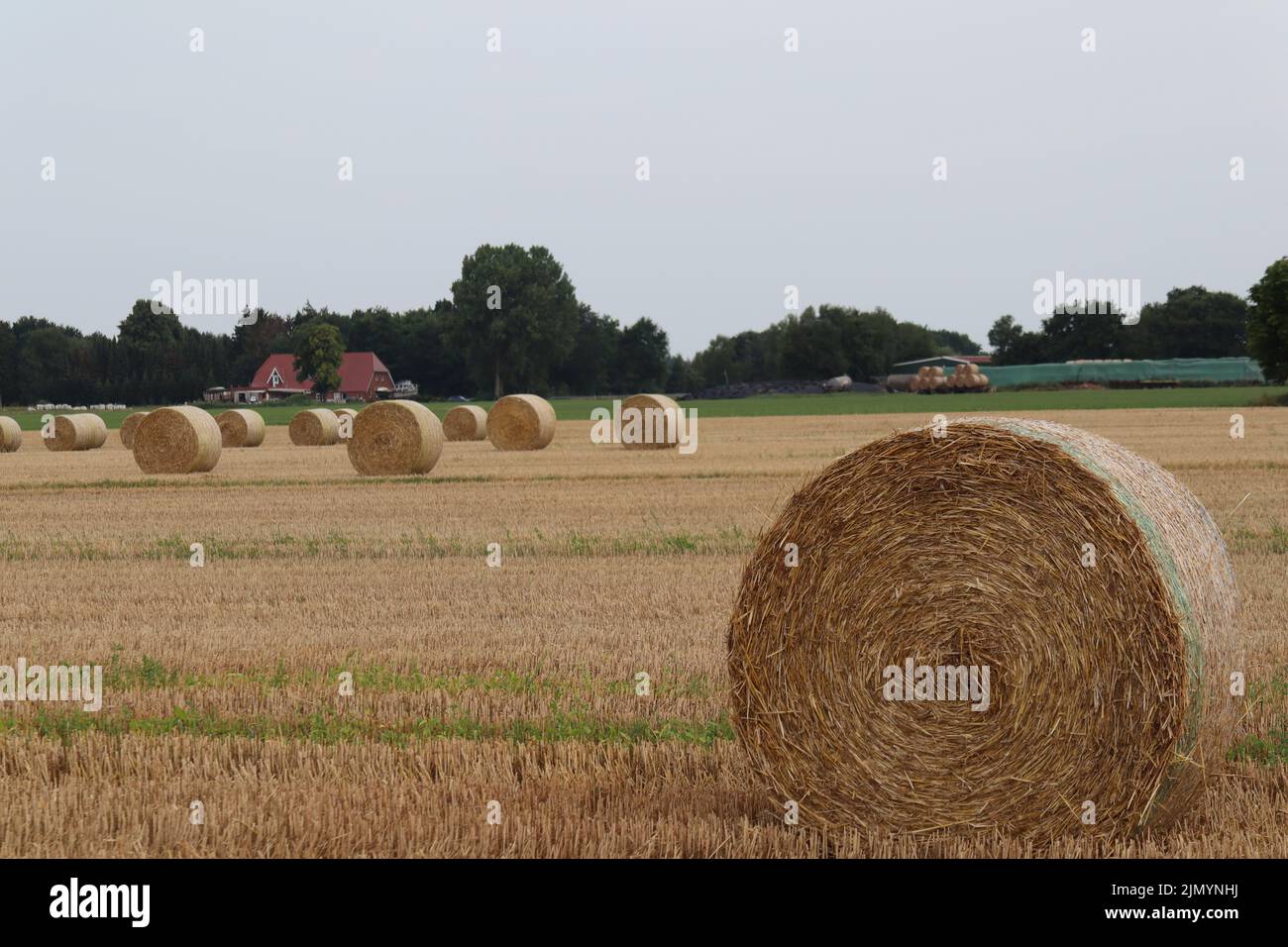 Stroharvest hi-res stock photography and images - Alamy