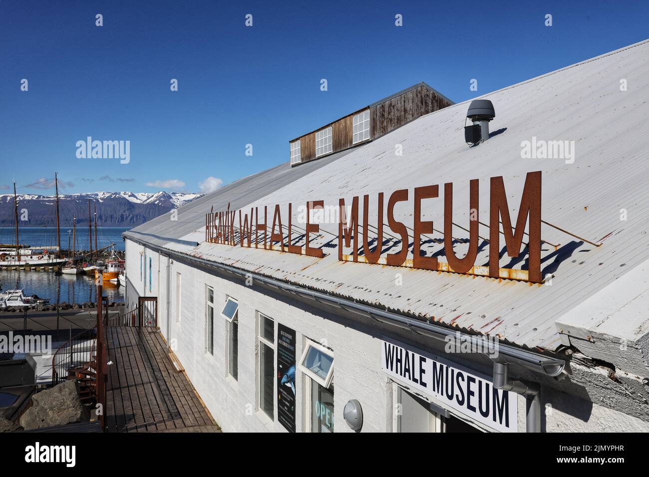 This is the wonderful Husavik Whale Museum. The museum has eight ...