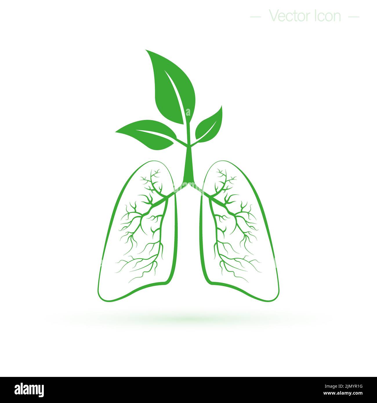 Healthy human lungs. Health, clean air and forest protection concept ...