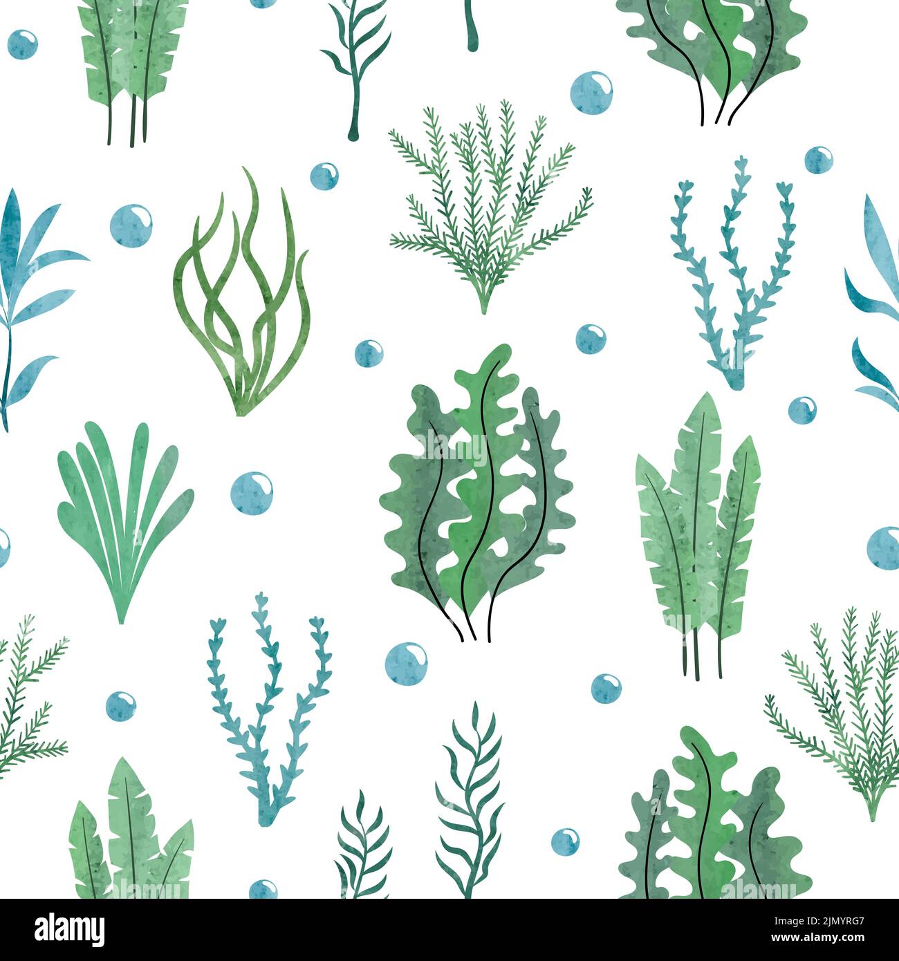 Seamless green seaweeds pattern. Underwater algae. Vector watercolor ...