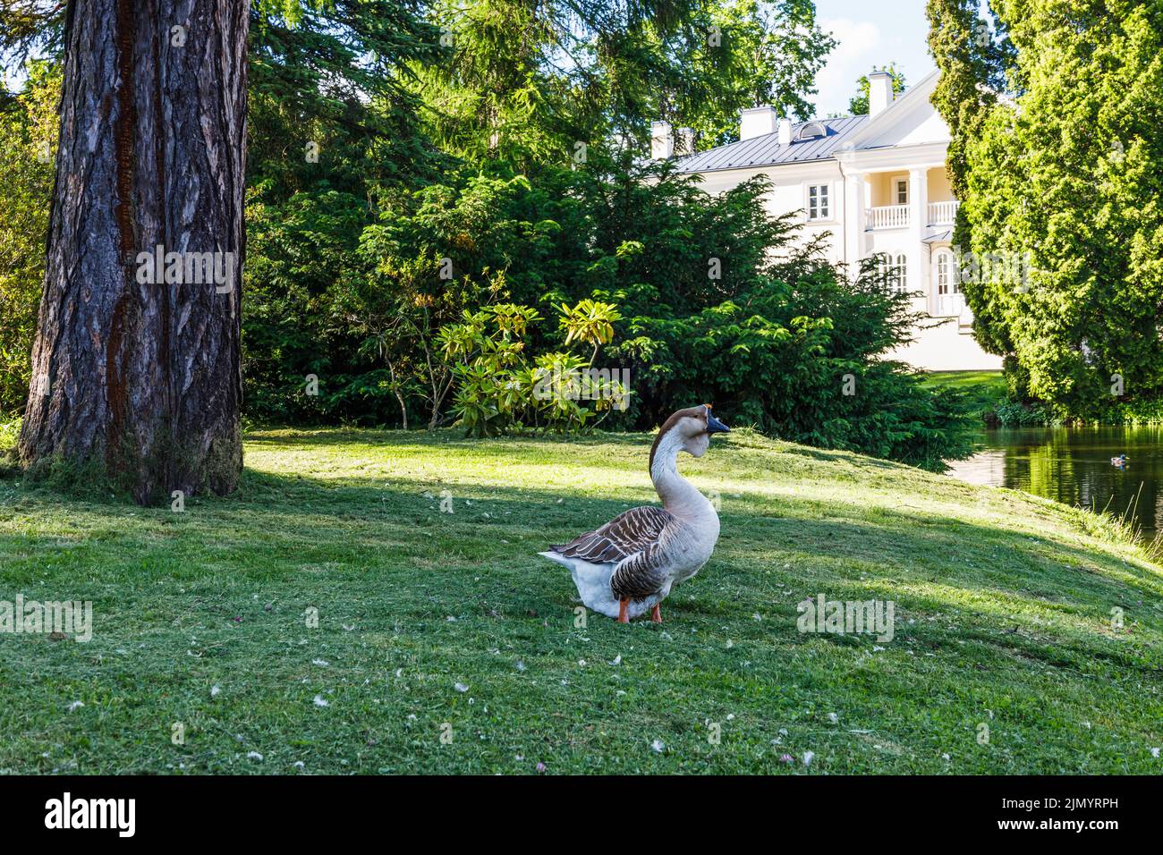 Outside fauna hi-res stock photography and images - Alamy