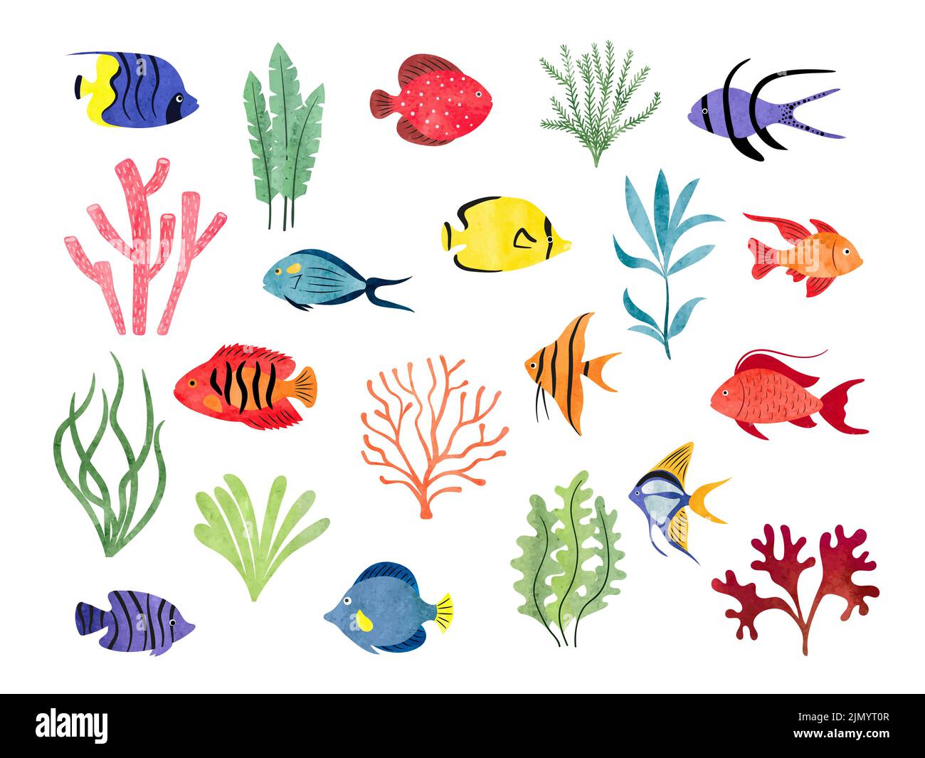 Seaweeds coral on white Stock Vector Images - Alamy