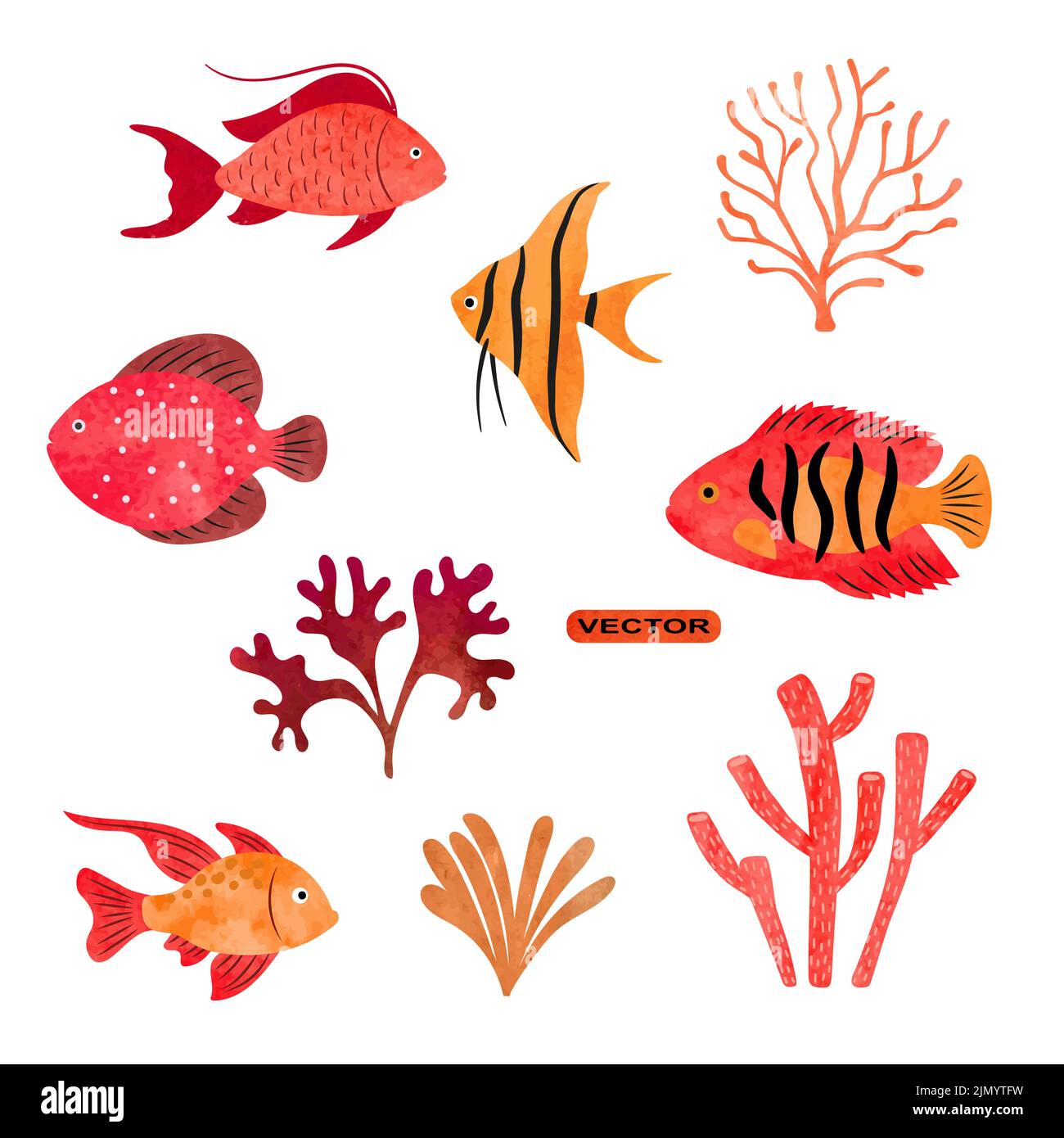 Tropical fish vector set. Coral reef watercolor collection of sea fish ...