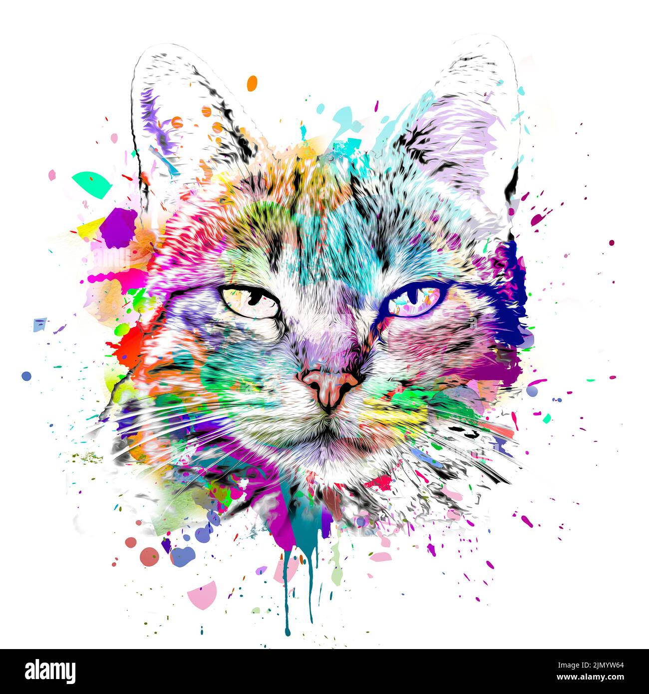 abstract colorful cat muzzle illustration, graphic design concept art ...