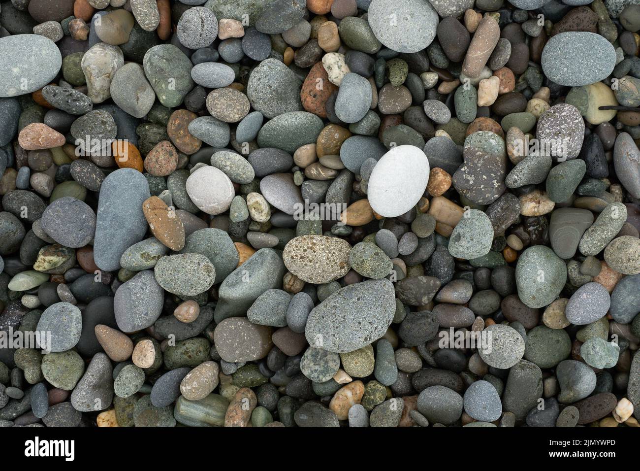 Pebble beach stones background, natural rounded gravel on the seashore ...
