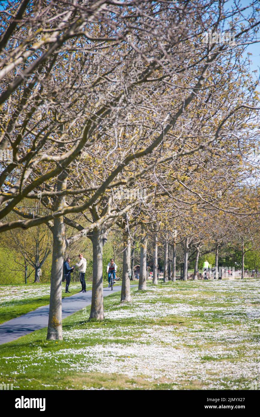 Suburb frankfurt hi-res stock photography and images - Alamy