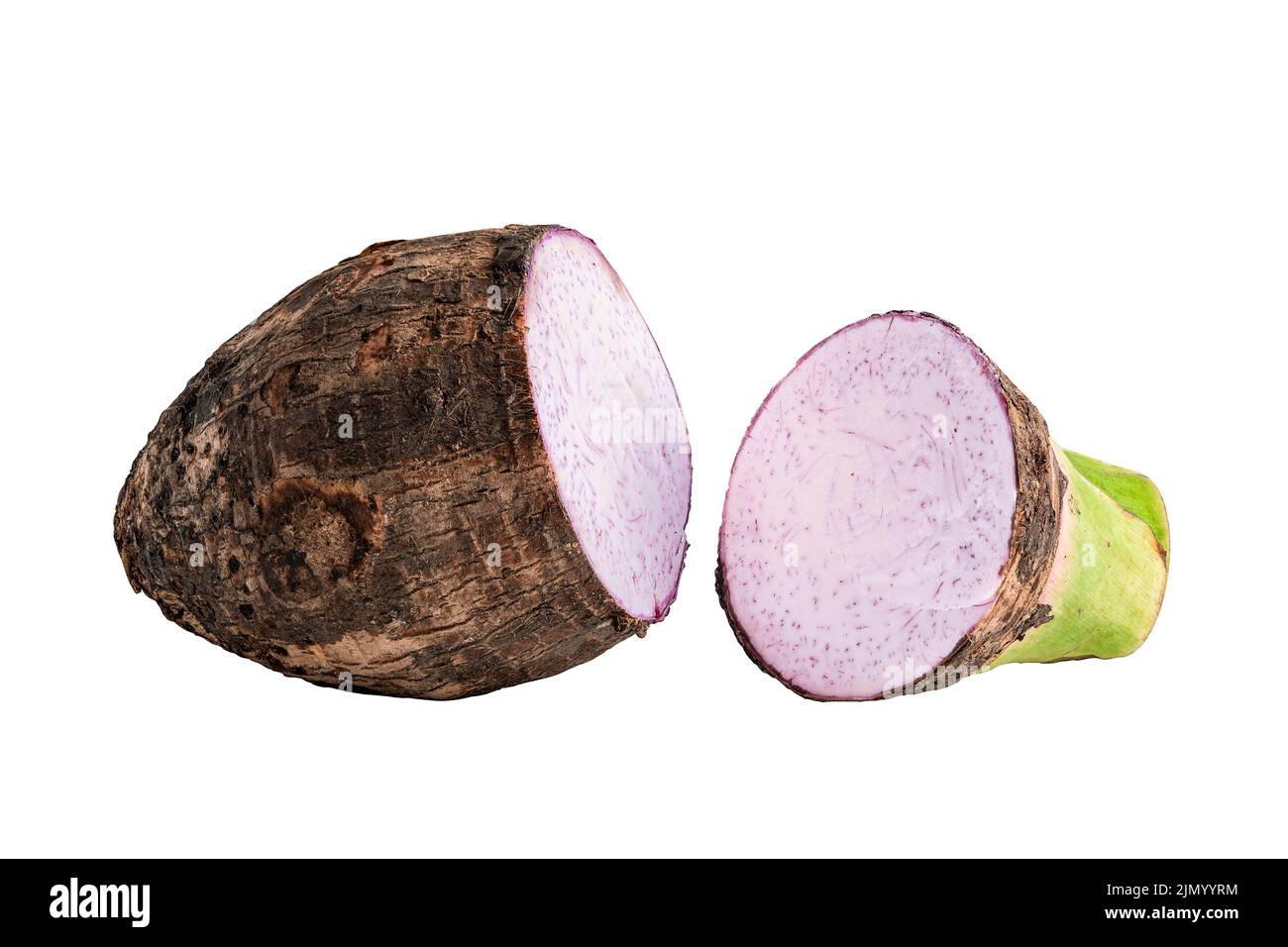 Taro root and slice isolated on white background Stock Photo - Alamy