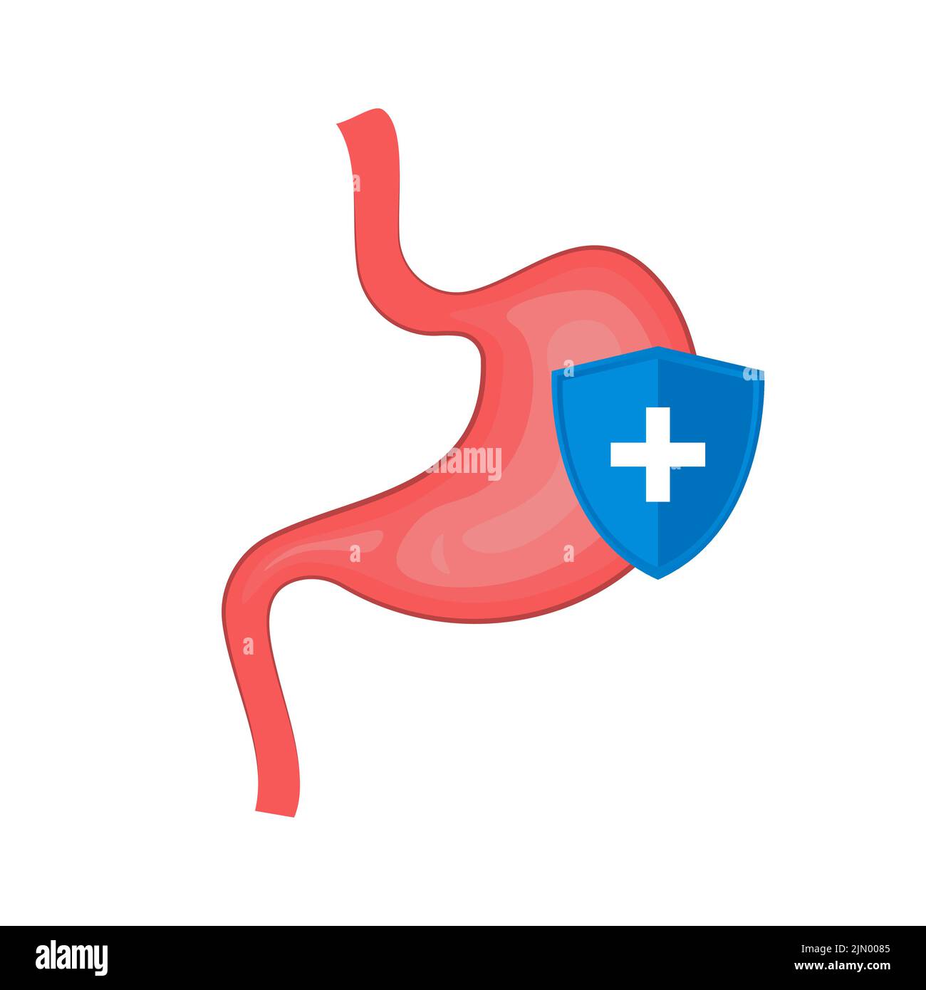 Shield and stomach. Stomach protection. Healthy preserved intestine ...