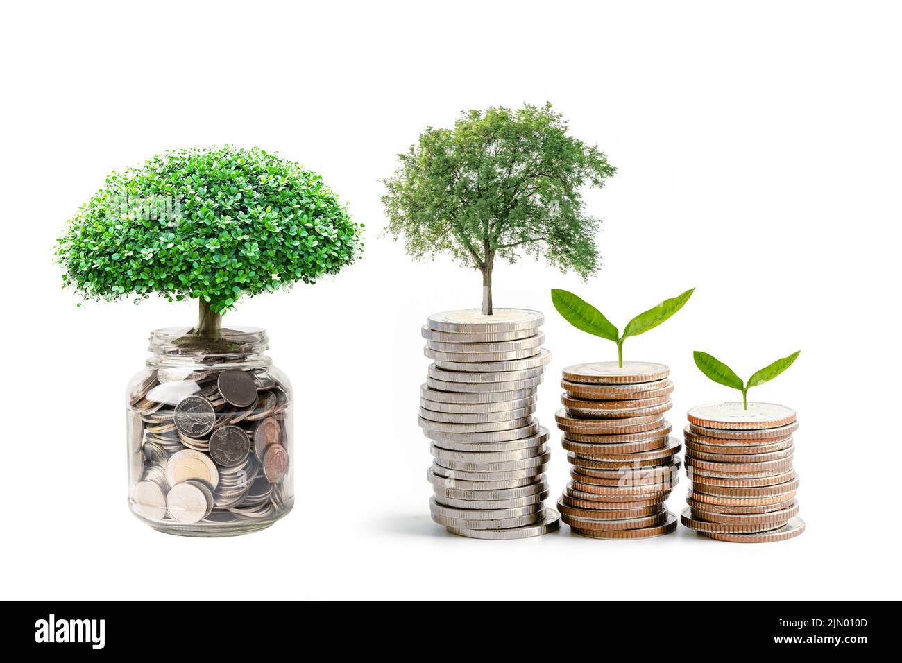 Tree plumule leaf on save money coins, Business finance saving banking ...
