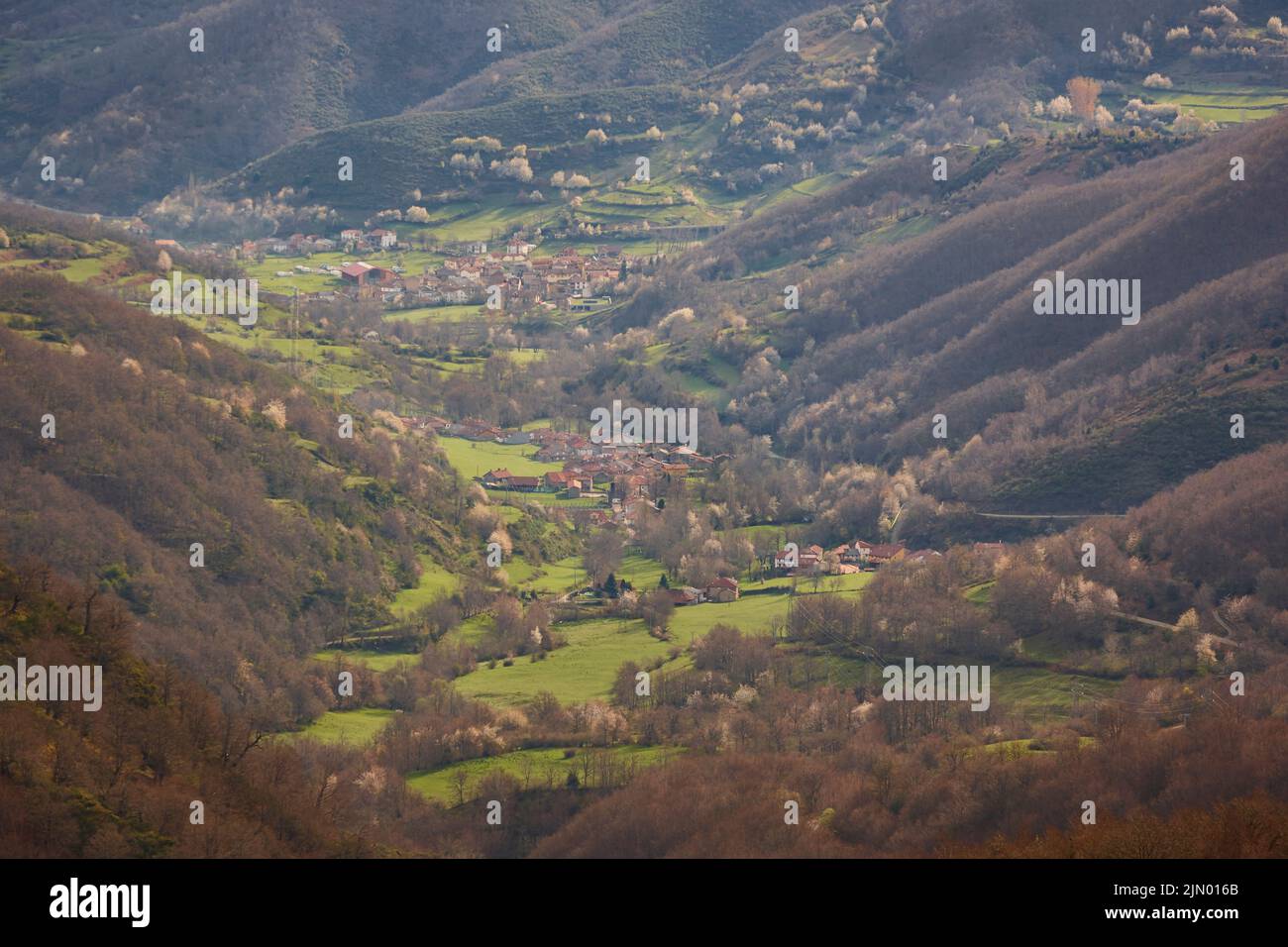 Mountain forest landscape and valley in Castilla Leon. Spain Stock ...