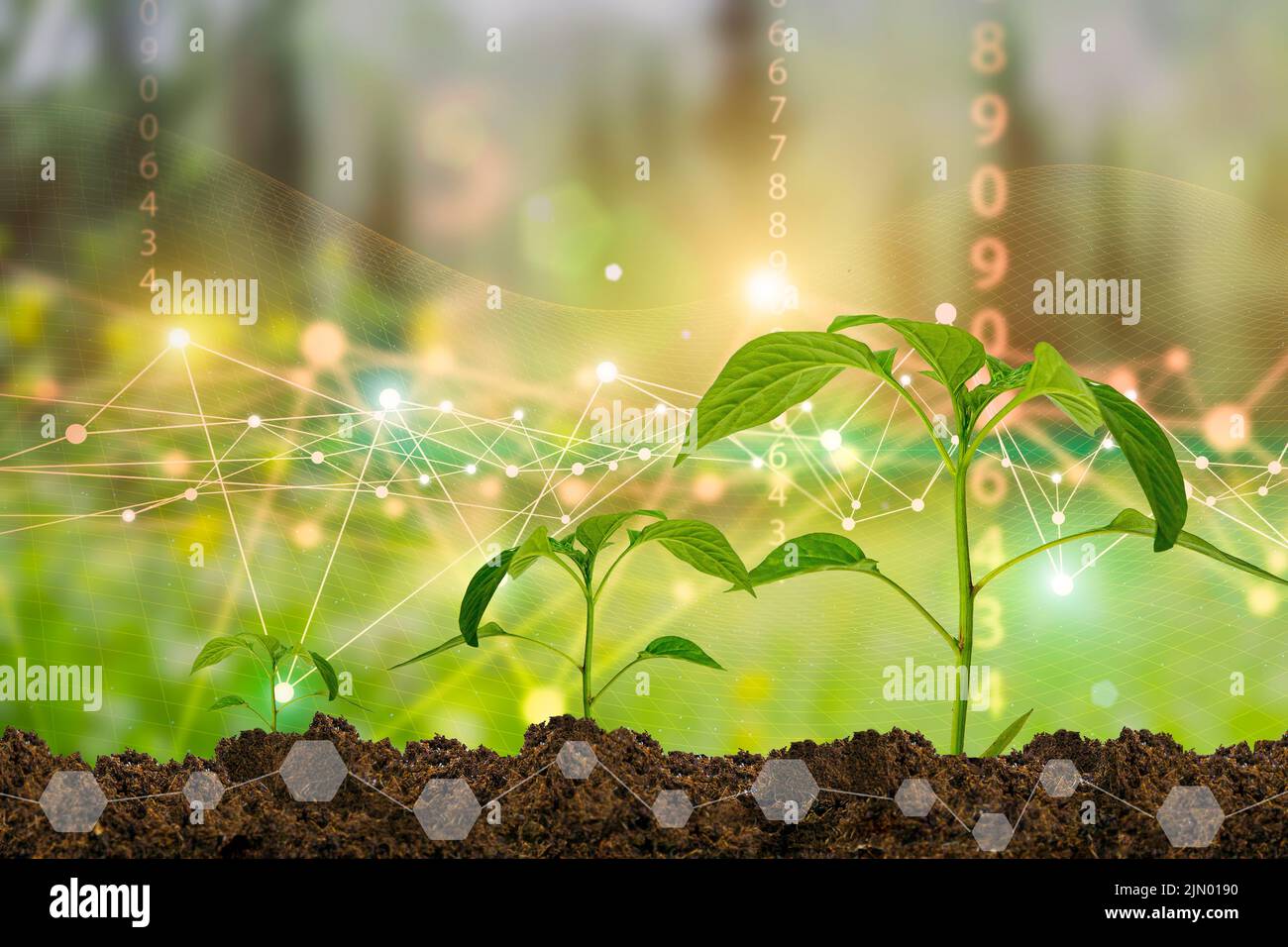 Agricultural technologies for growing plants and scientific research in ...