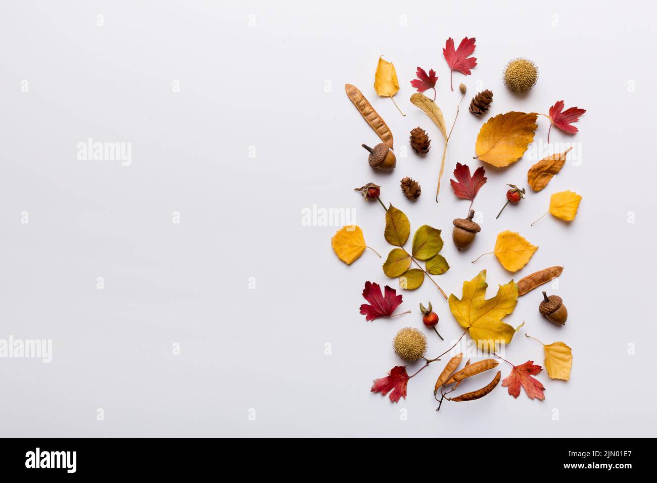 Autumn composition. Pattern made of dried leaves and other design ...