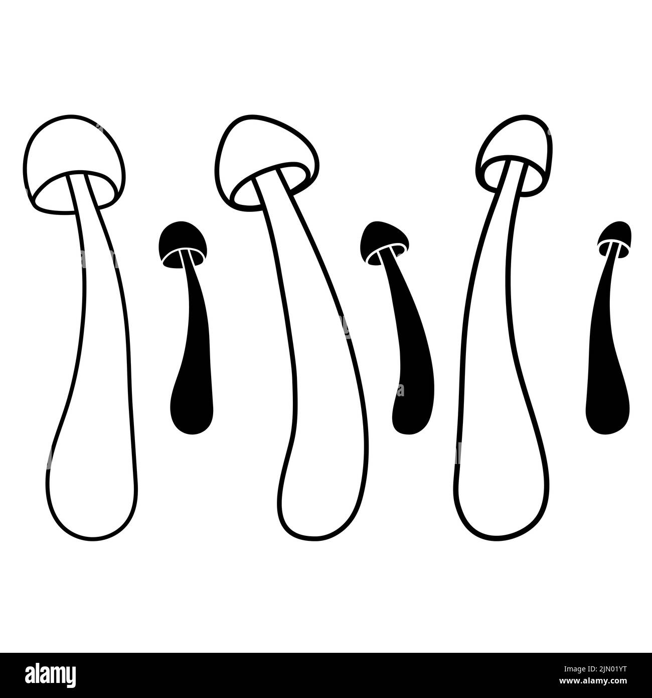 Set of mushrooms vector simple illustration isolated on white ...