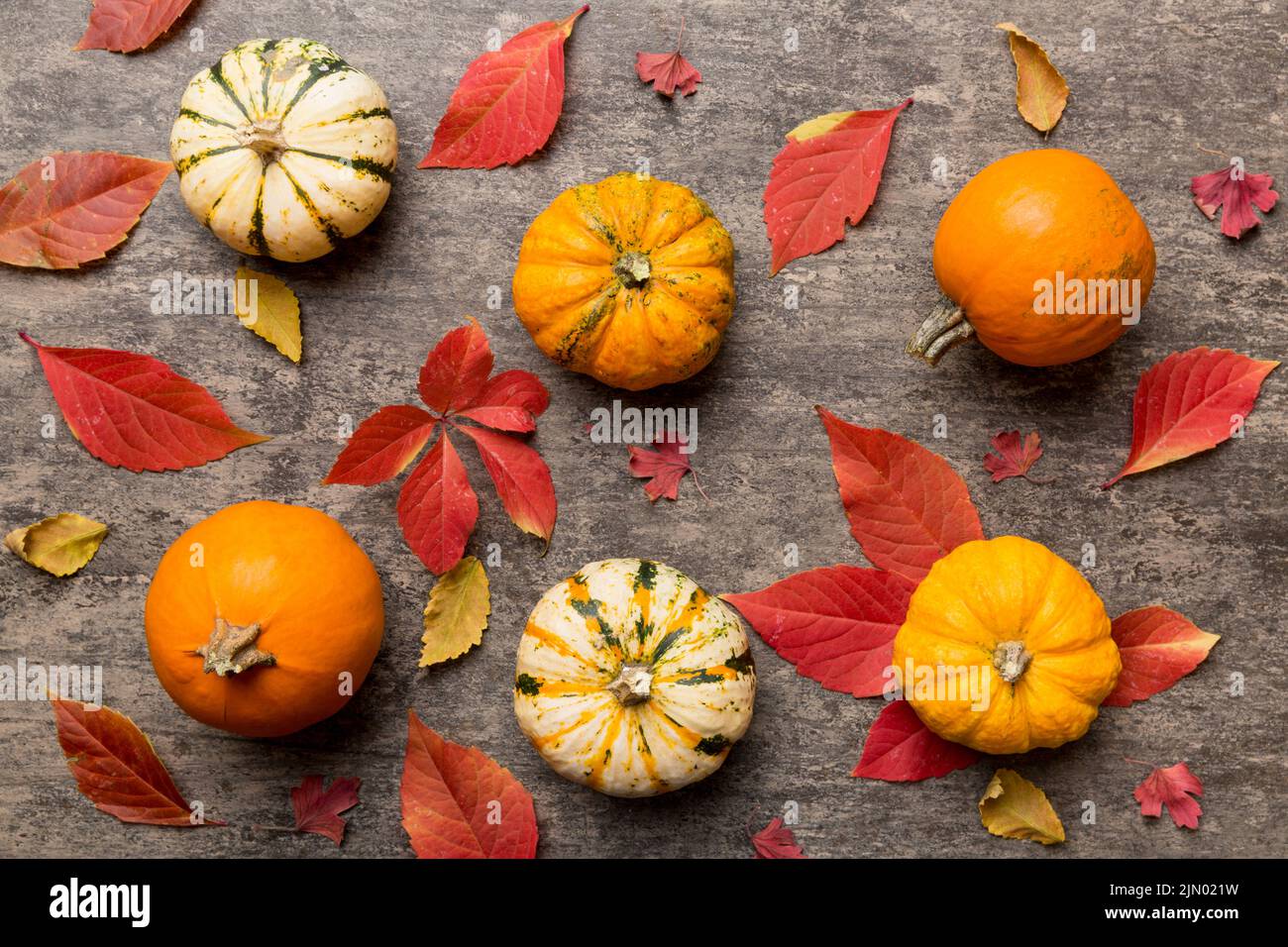 Autumn composition. Pattern made of dried leaves and other design ...
