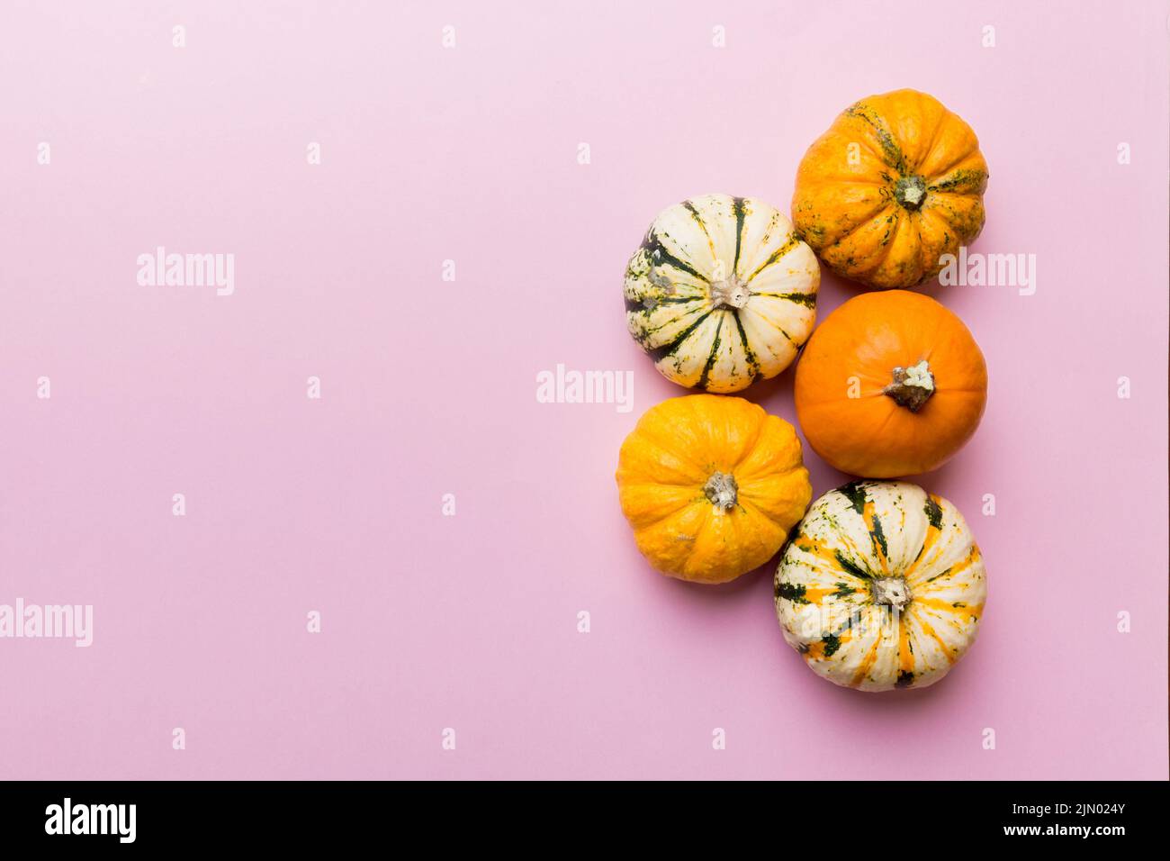 Autumn composition of little orange pumpkins on colored table ...