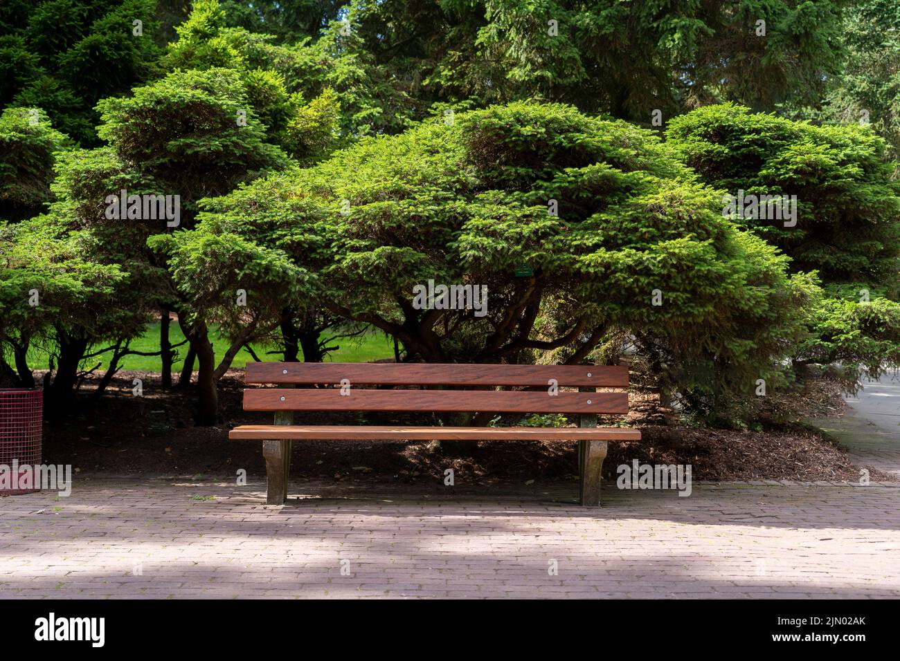 Bench under the tree in quiet environment Stock Photo - Alamy