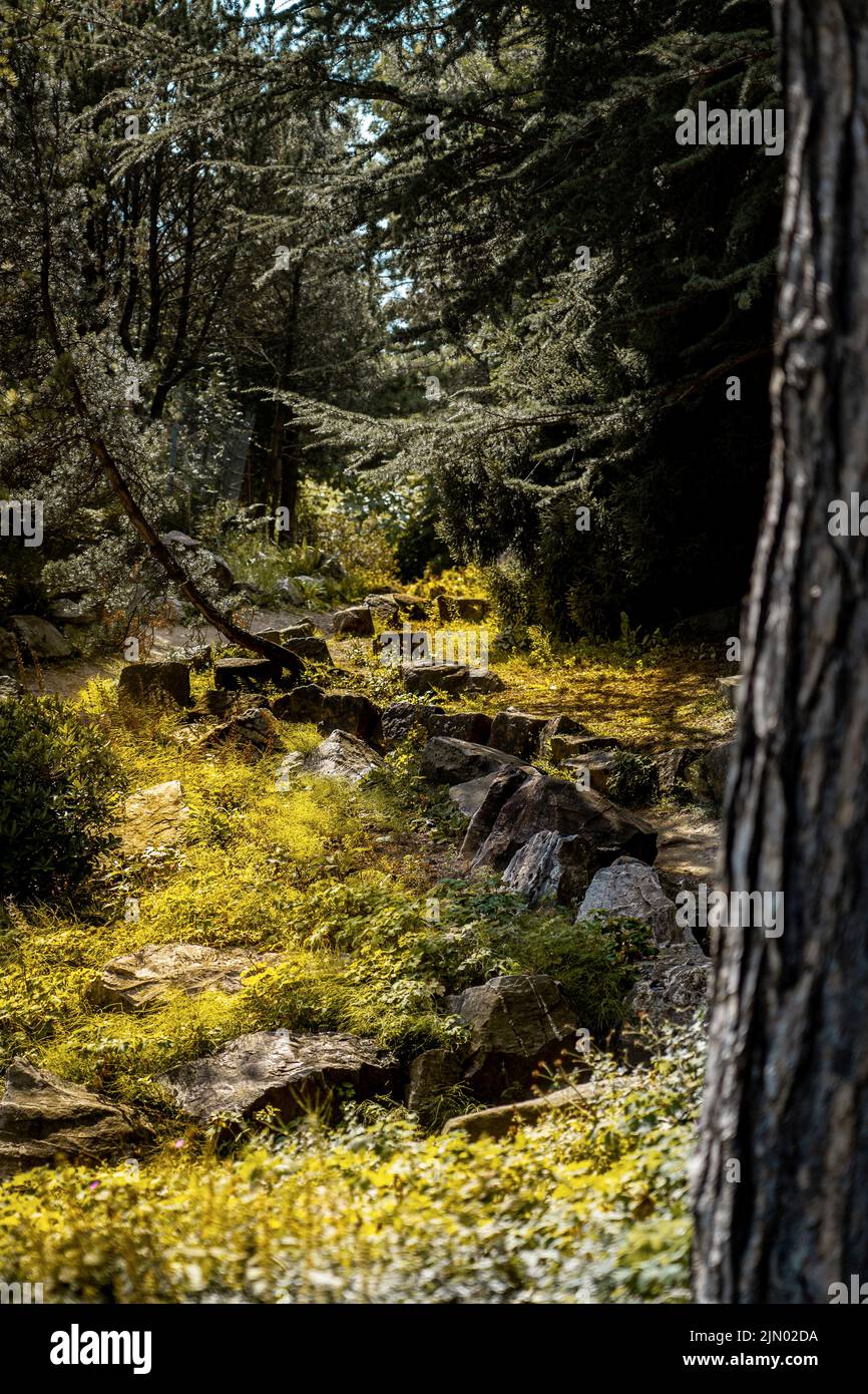Pile of timber and stones hi-res stock photography and images - Alamy