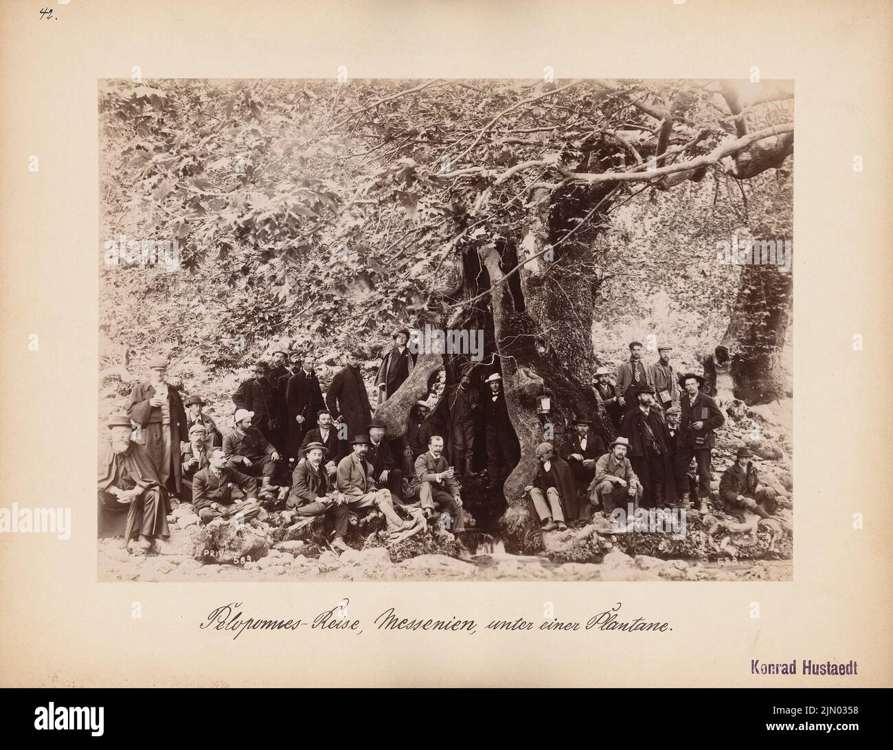 Unbek fotograf reisegruppe unter einer platane hi-res stock photography ...