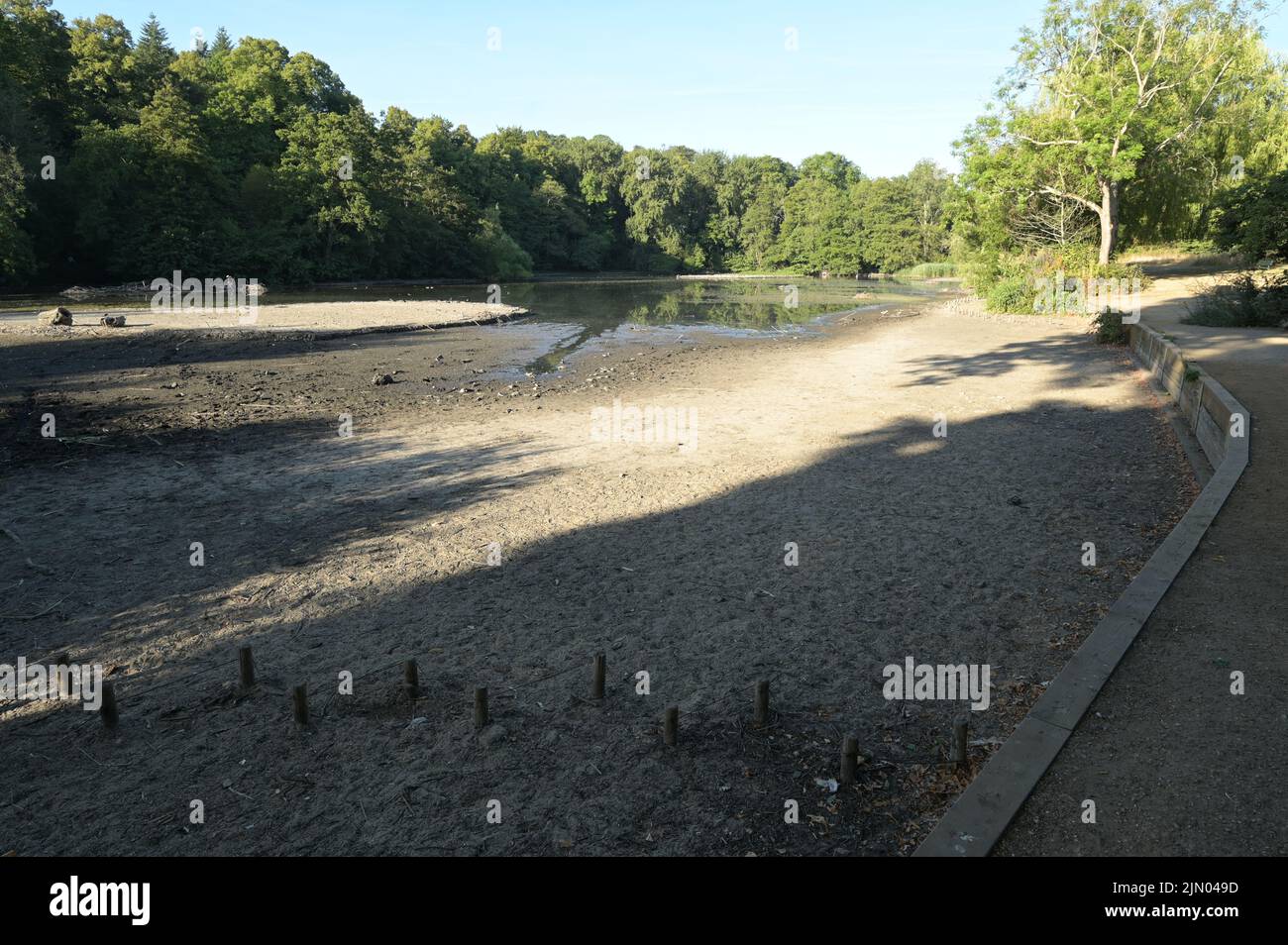 The effects of drought on a Pond in Reigate, Surrey during the hot ...
