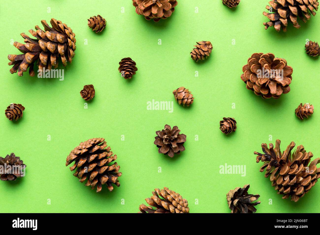 pine cones on colored table. natural holiday background with pinecones ...