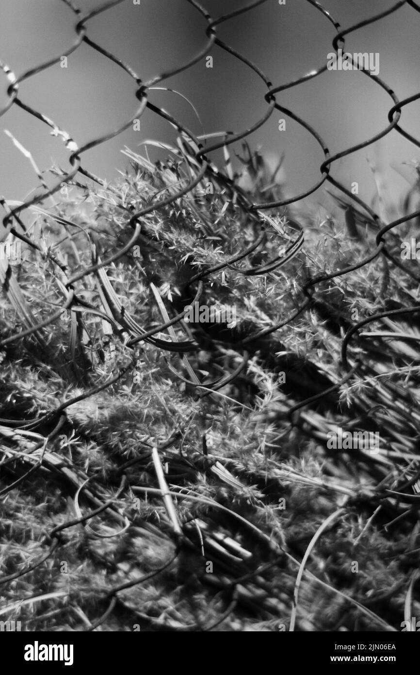 Fence columns Black and White Stock Photos & Images - Alamy