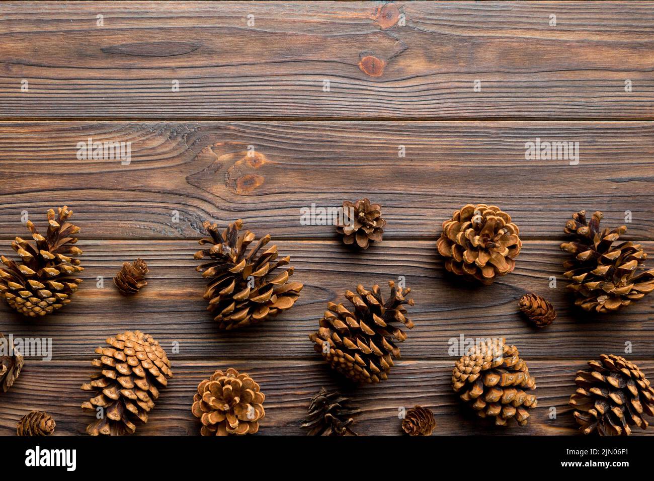 Christmas pine cones on colored paper border composition. Christmas ...