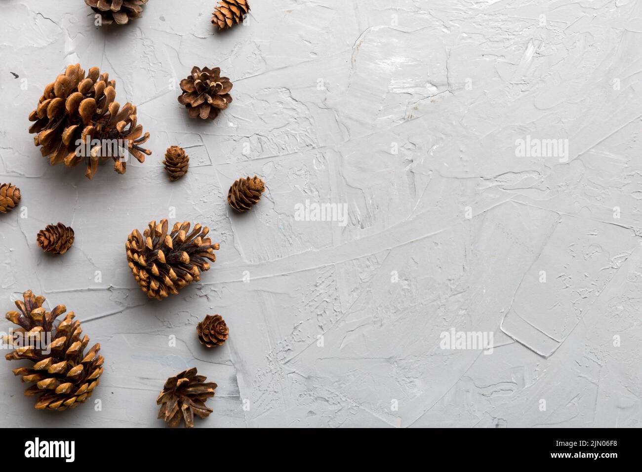 Christmas pine cones on colored paper border composition. Christmas ...